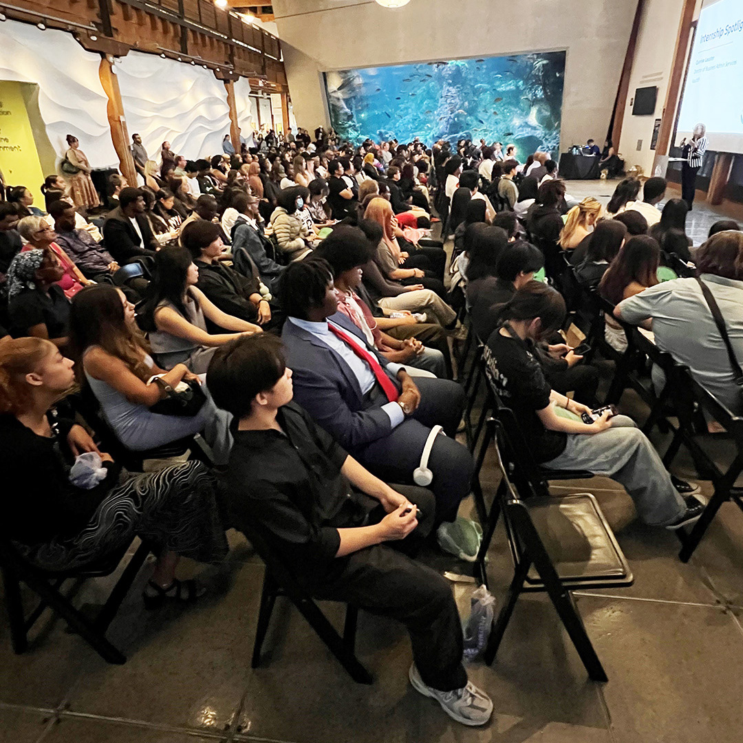 A Sea of Gratitude and Appreciation for Interns - Human Interests